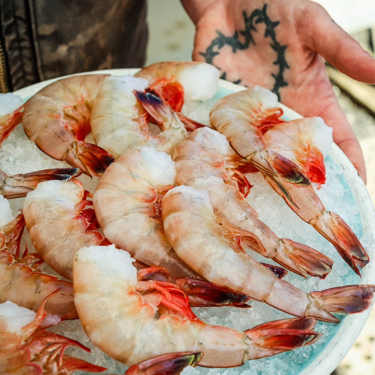Wild Caught Gulf Prawns – Hog Island Oyster Co.