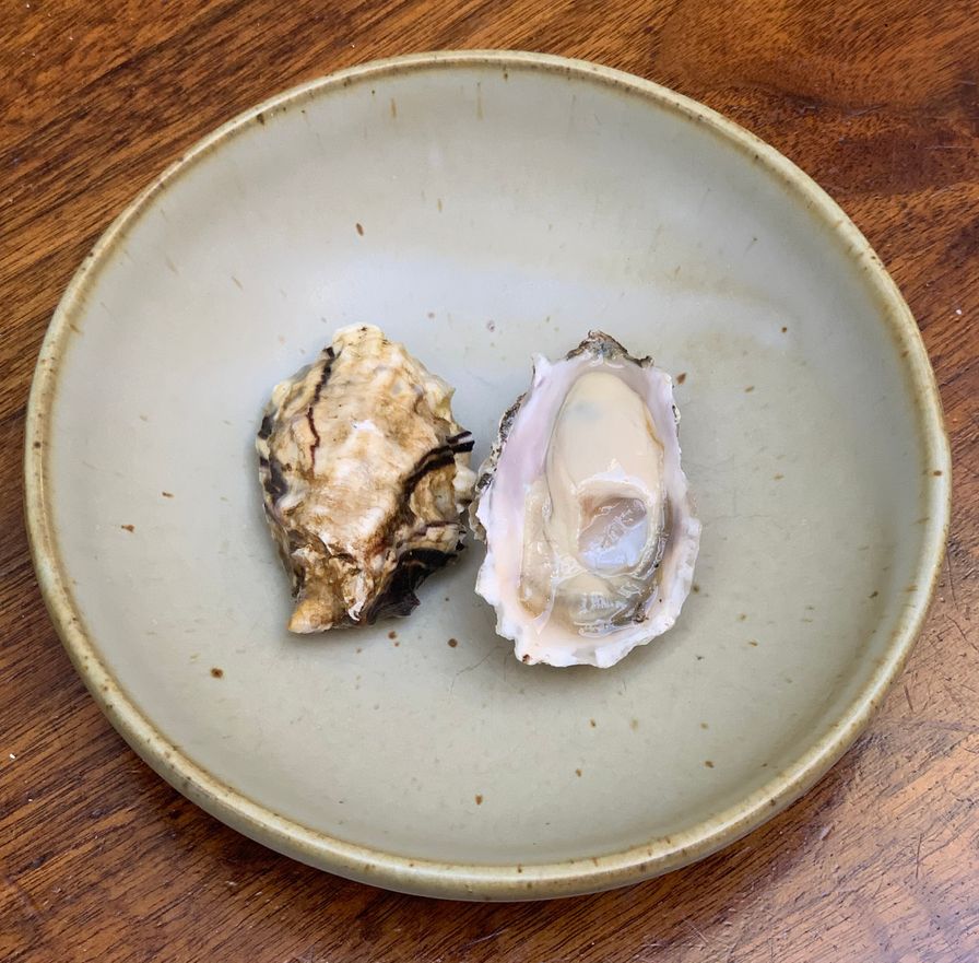 Oysters, Shellfish, Local Fresh Fish, Tinned Fish – Hog Island Oyster Co.
